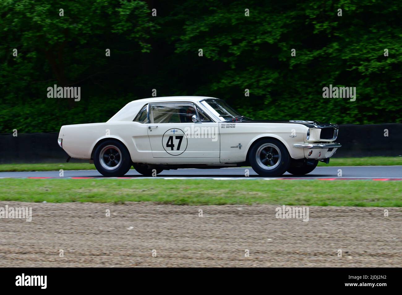 Fred Shepherd, Bill Shepherd, Ford Mustang, Masters Pre-1966 Touring ...
