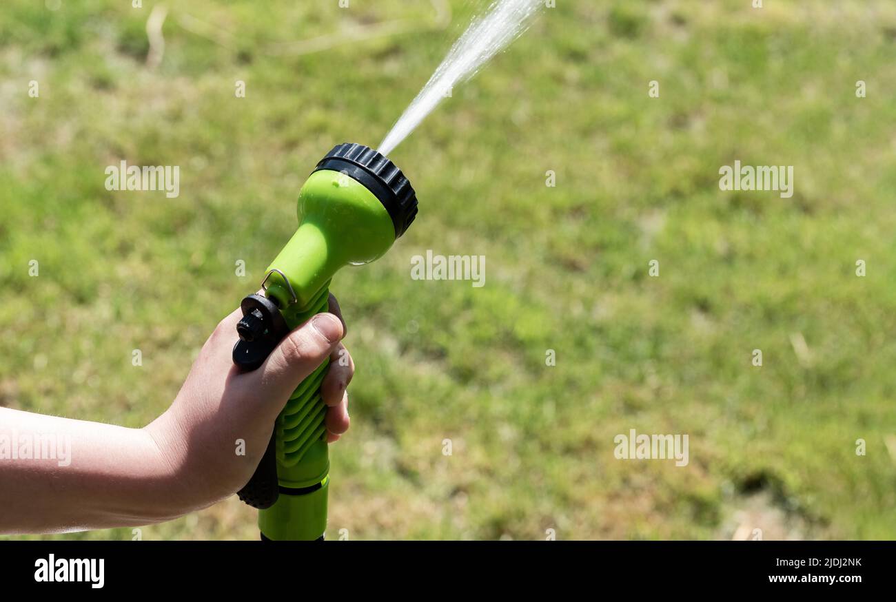 Watering the lawn and green grass. Water jet from a garden hose while ...