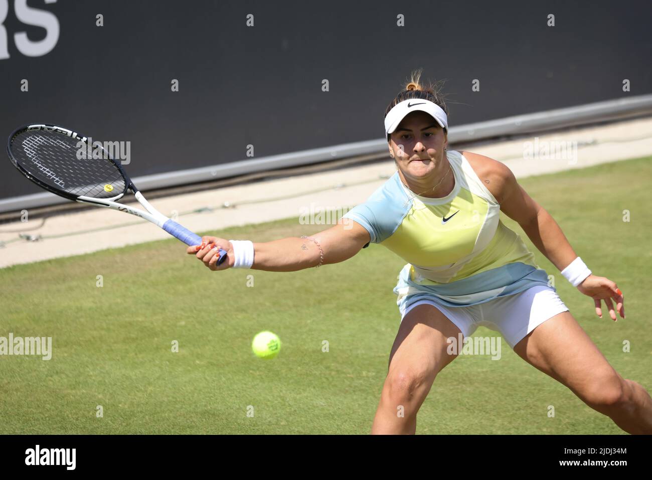 Andreescu homburg 2022 hi-res stock photography and images - Alamy