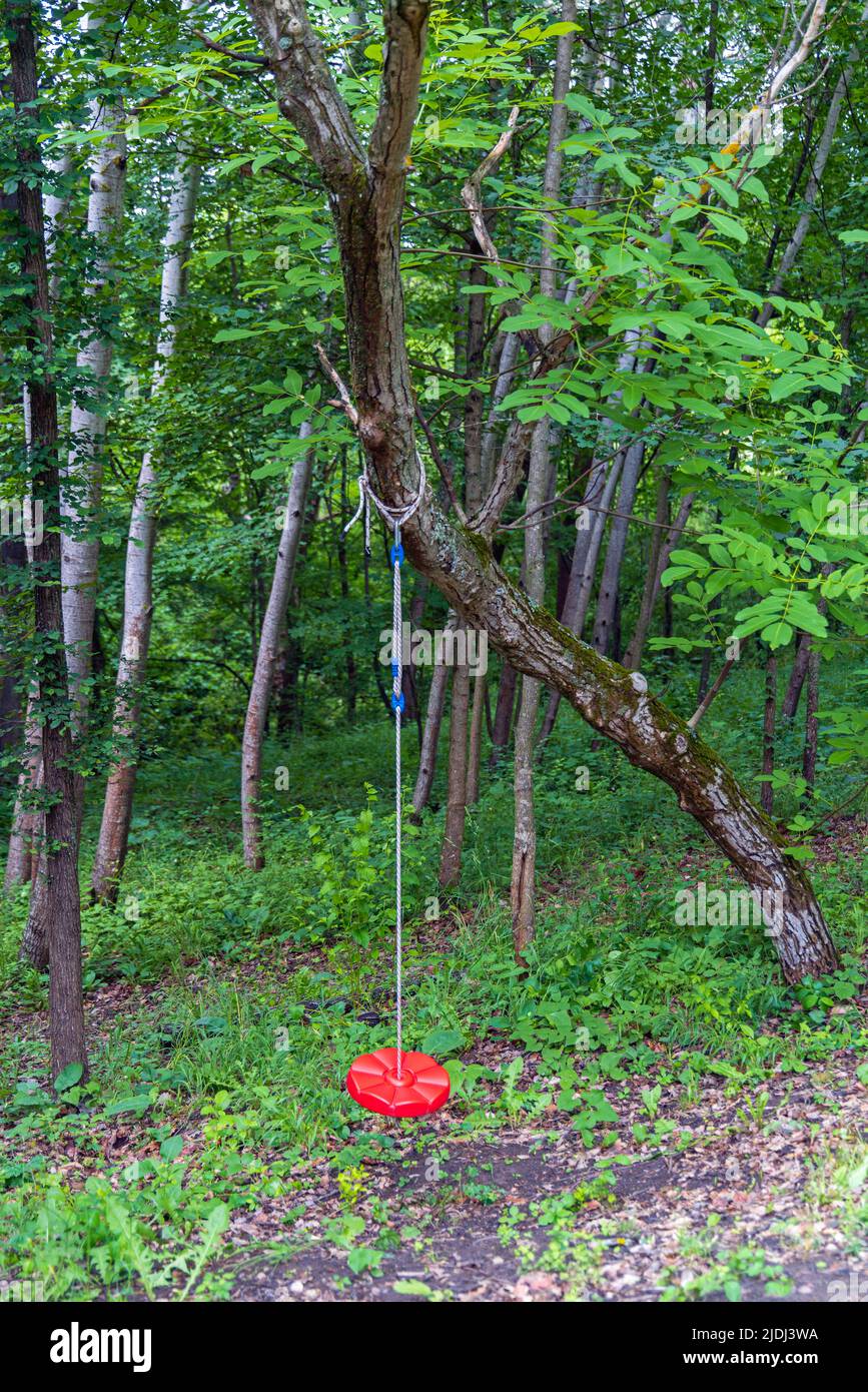 Single Rope Tree Swing Disc in Jungle Woods Kids Fun Stock Photo - Alamy