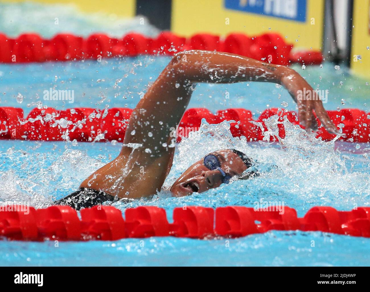 Simon Quadarella of Italy Final 1500 M Freestyle Women during the 19th ...