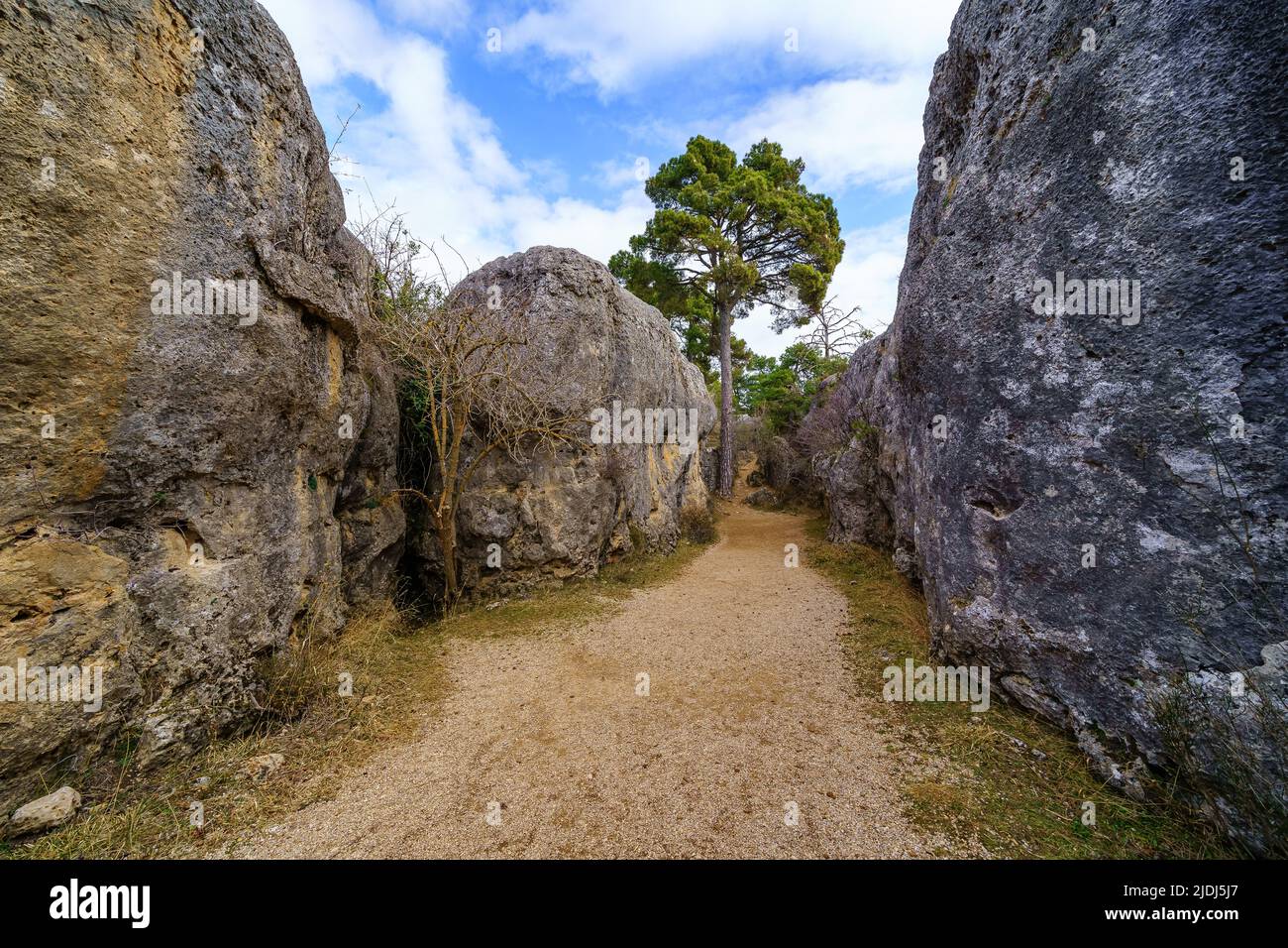 Large limestone rocks in the forest of the Enchanted City of Cuenca ...