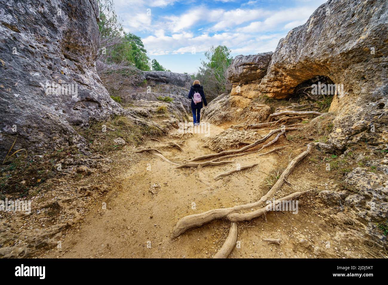 Woman walking in a strange landscape of large rocks and tree roots on ...