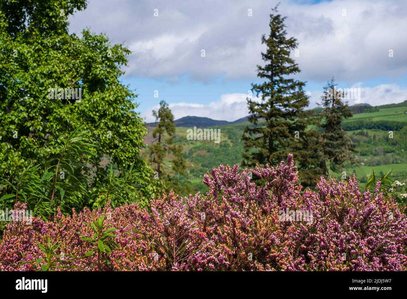 Scenic landscape view near Aberfeldy, in Highland Perthshire, Scotland ...