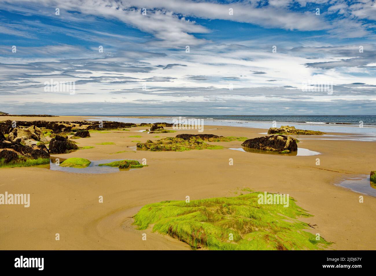 Pools of green hi-res stock photography and images - Alamy