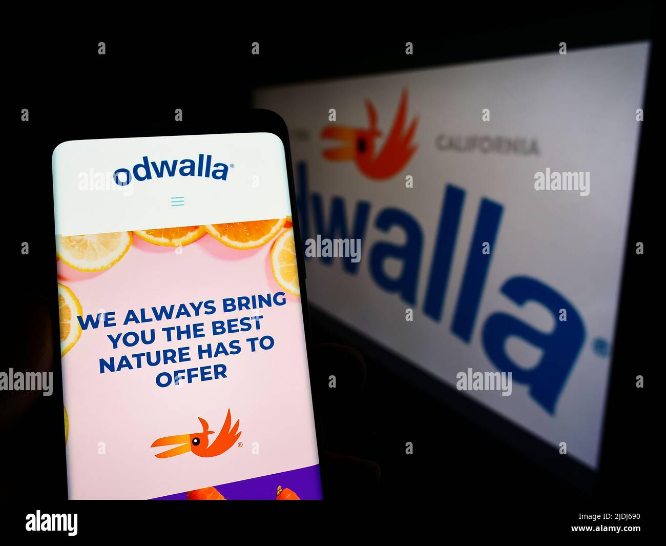 Odwalla Logo