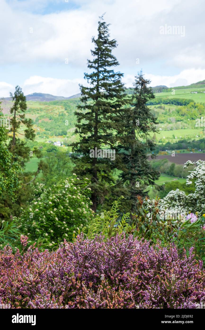 Scenic landscape view near Aberfeldy, in Highland Perthshire, Scotland ...