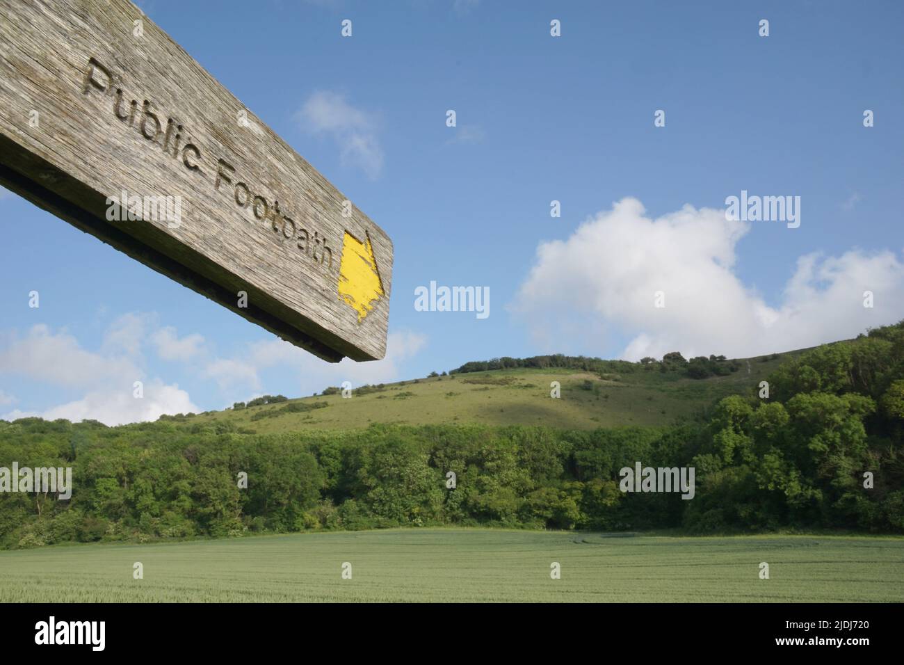 Footpath Sign to South Downs, Summer Stock Photo - Alamy