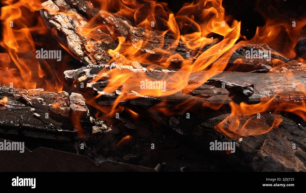 burning firewood up close. barbecue woods, flame fire, ash coals ...