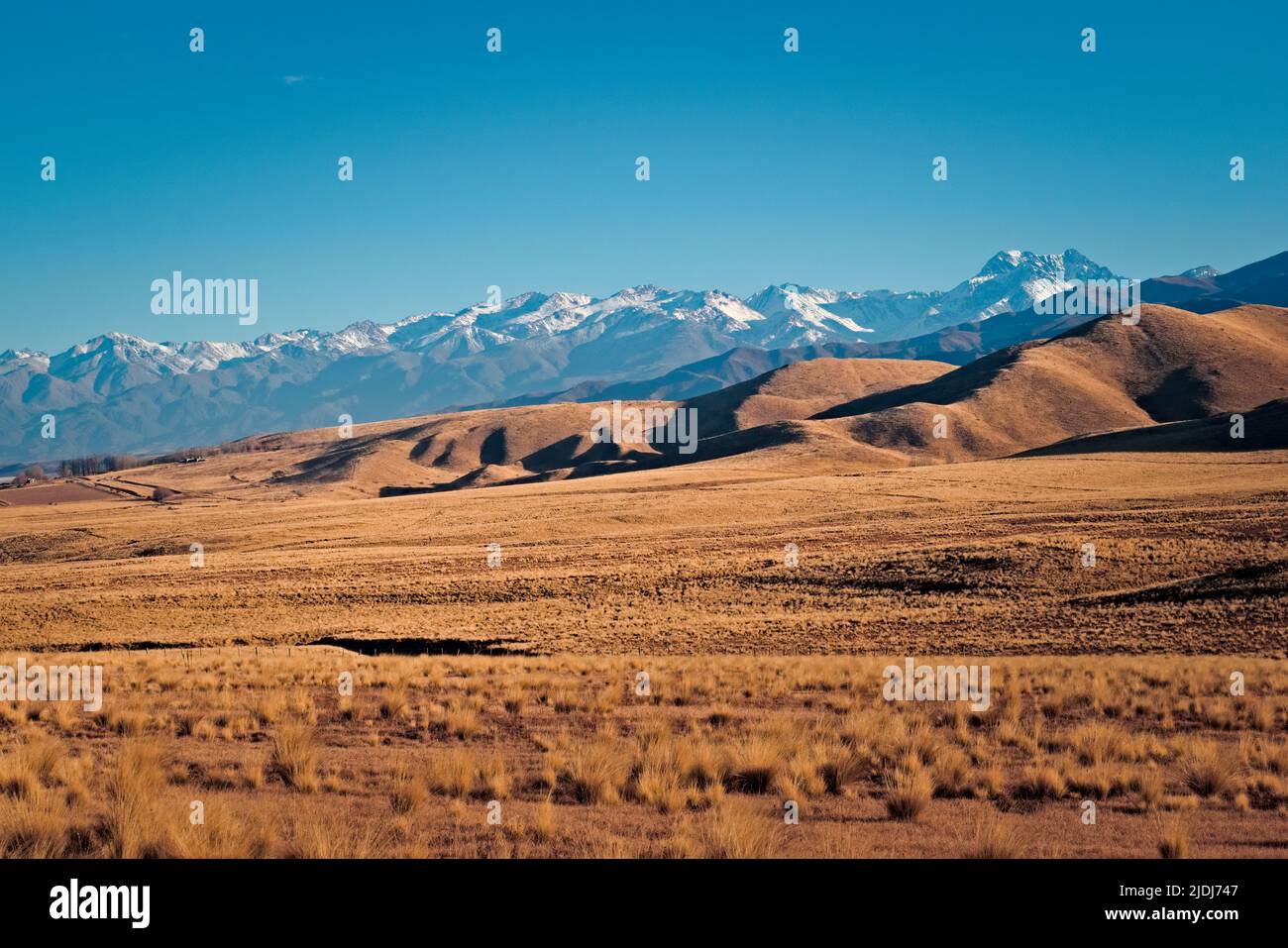 Arid grassy steppe by the Andes Mountains near Tupungato, province of ...