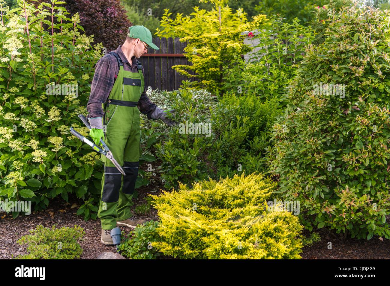 Professional Landscaper Checking and Evaluating the Condition of Plants ...