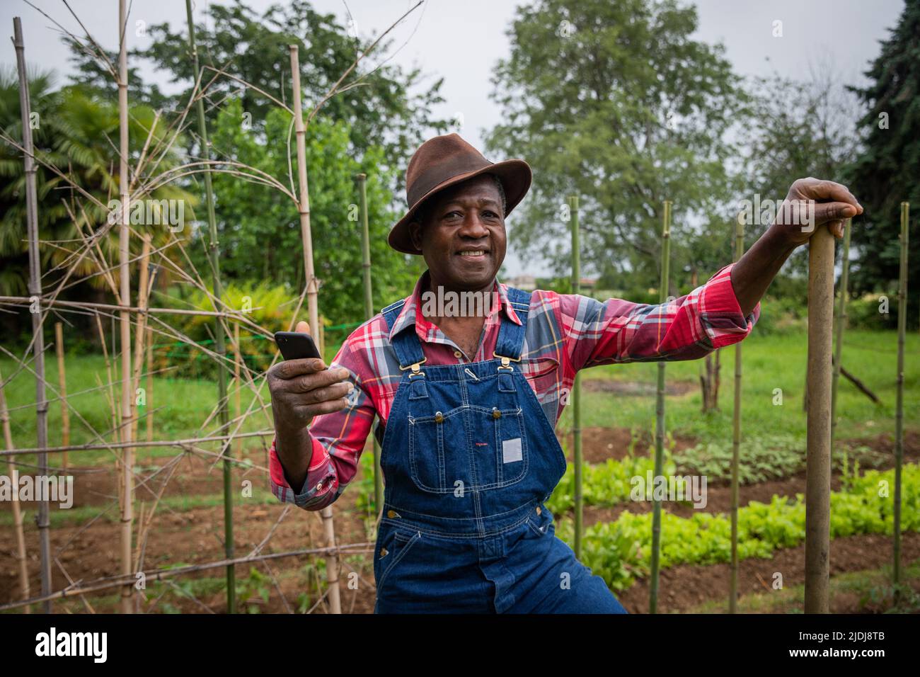 African agriculture hi-res stock photography and images - Alamy