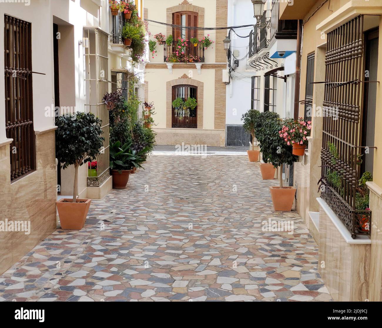 White wall plants seville spain hi-res stock photography and images - Alamy