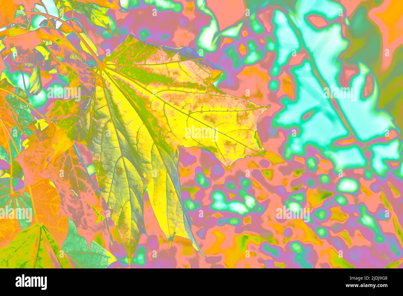 Neon orange print hi-res stock photography and images - Alamy