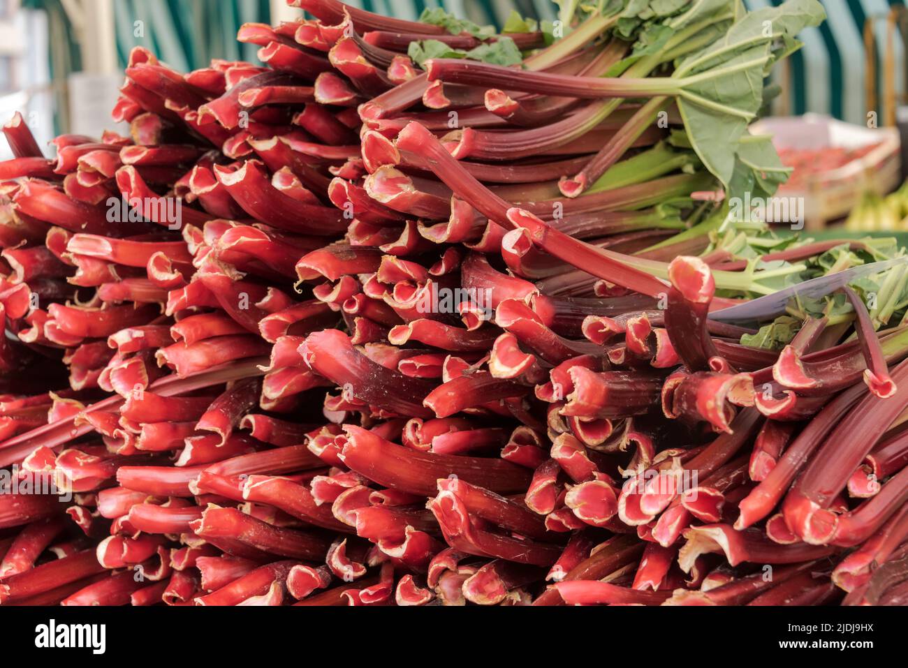 red rhubarb stalks laid out for sale at a market stall Stock Photo - Alamy