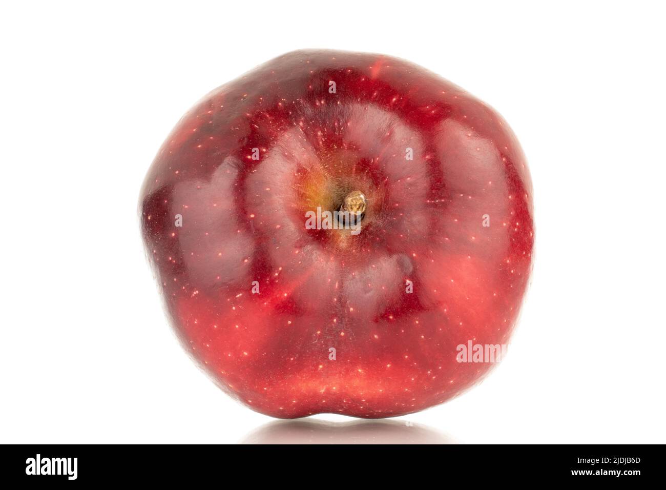 One ripe red apple, close-up, isolated on a white background Stock ...
