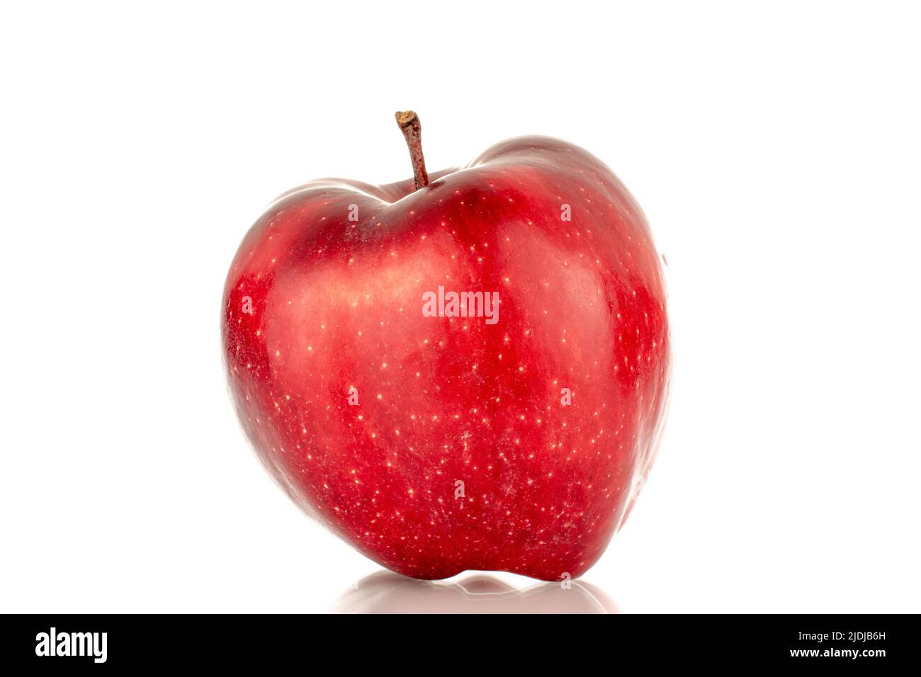 One ripe red apple, close-up, isolated on a white background Stock ...