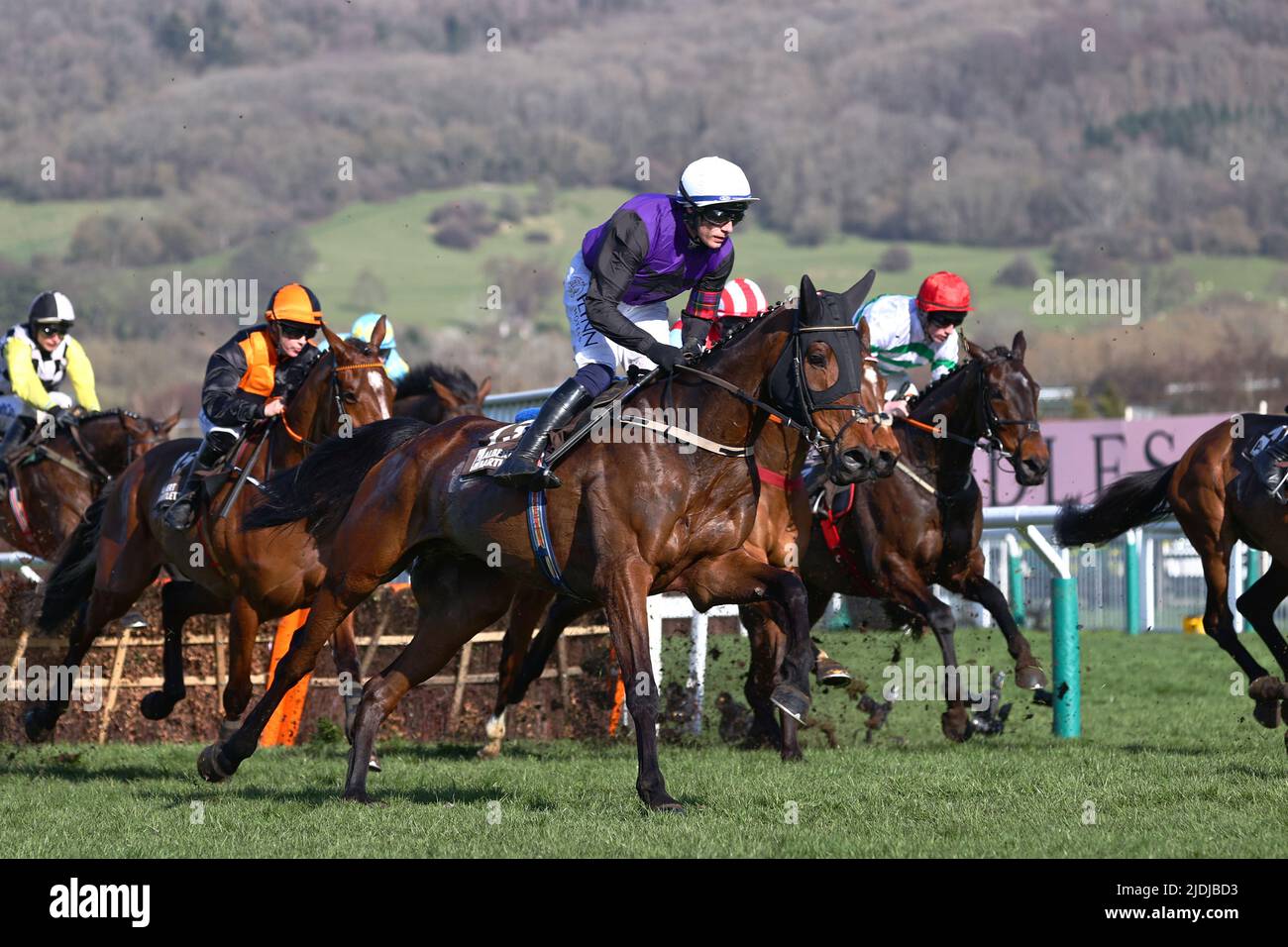 National hunt racing hi-res stock photography and images - Alamy