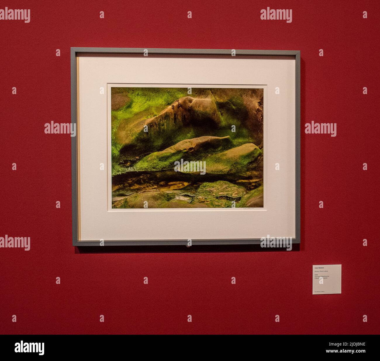 Photograph "Rocks, Point Lobos 1998” of the photographer Cole Weston ...