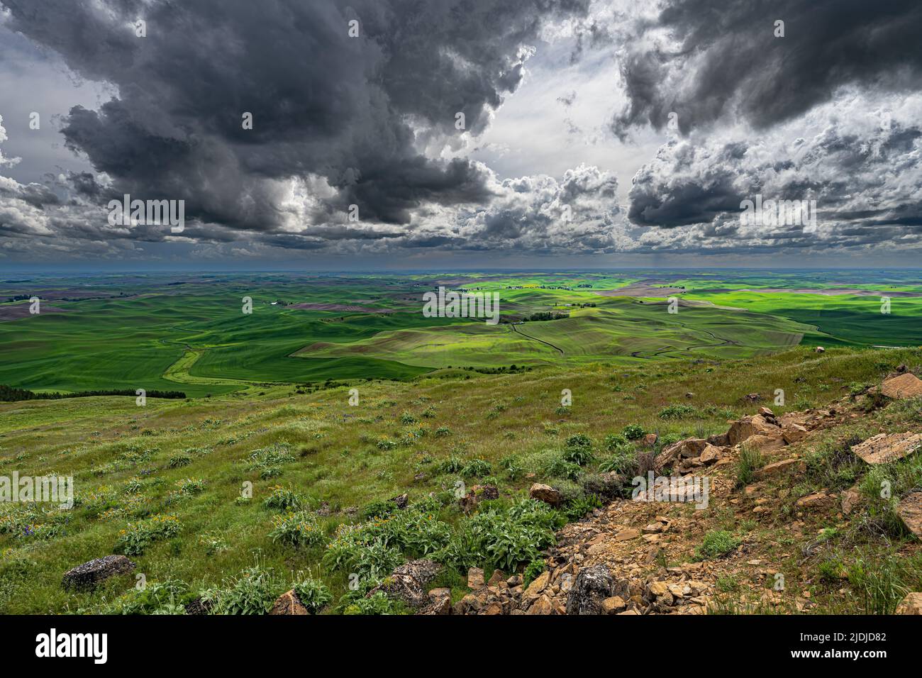 Wheat fields us hi-res stock photography and images - Alamy