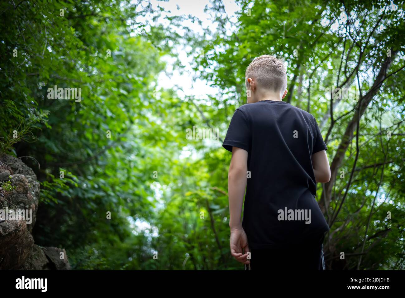 boy travels through the forest Stock Photo - Alamy