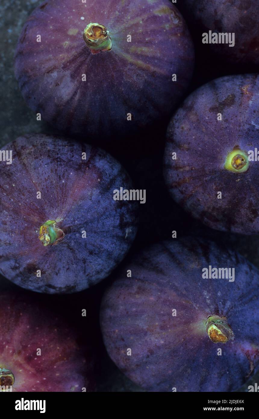 Black bursa hi-res stock photography and images - Alamy