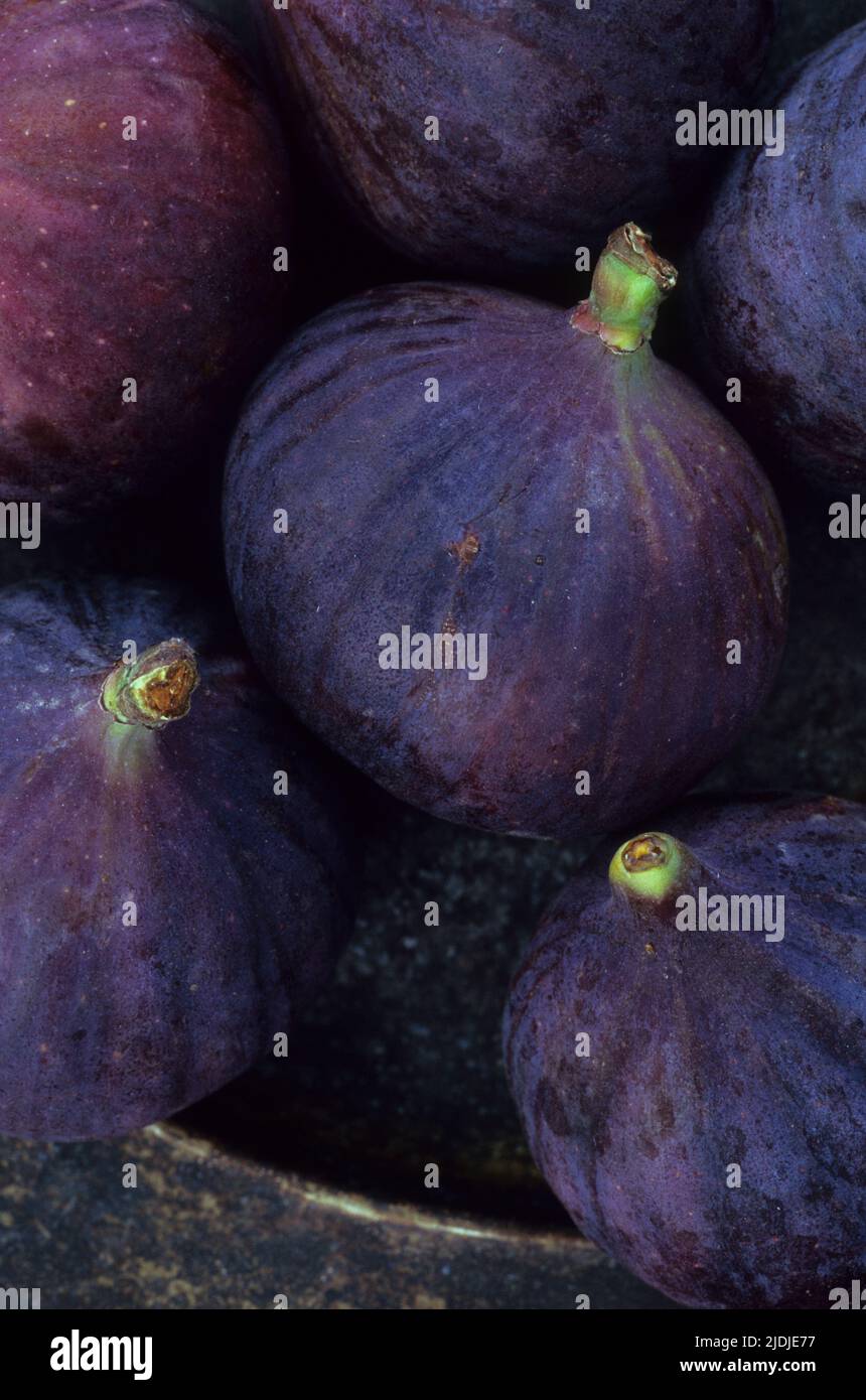 Black bursa hi-res stock photography and images - Alamy