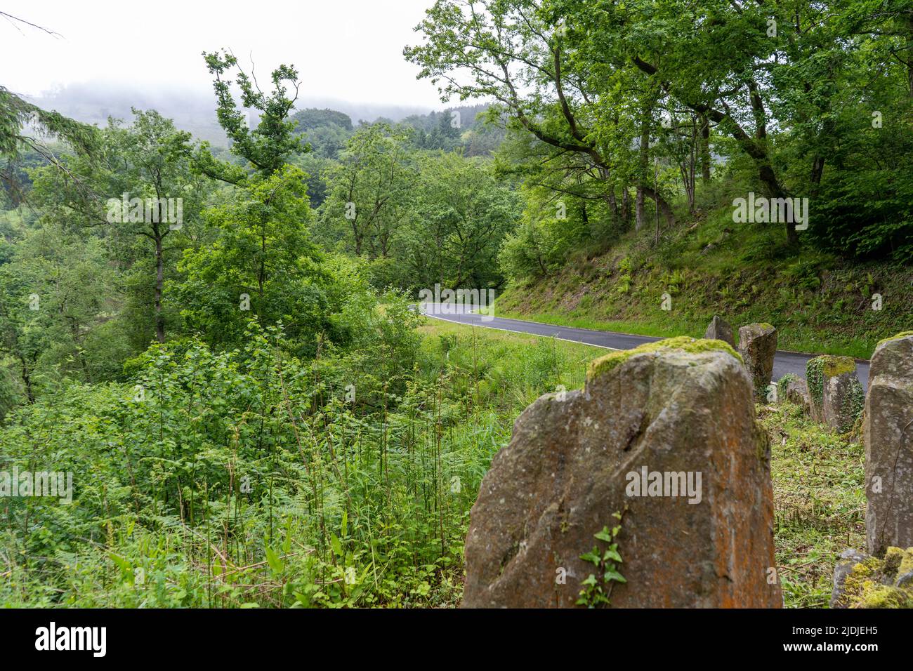 Fogy day hi-res stock photography and images - Alamy