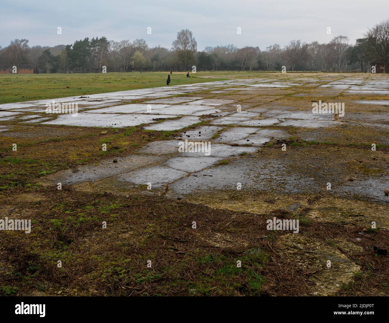 Holmsley airfield hi-res stock photography and images - Alamy
