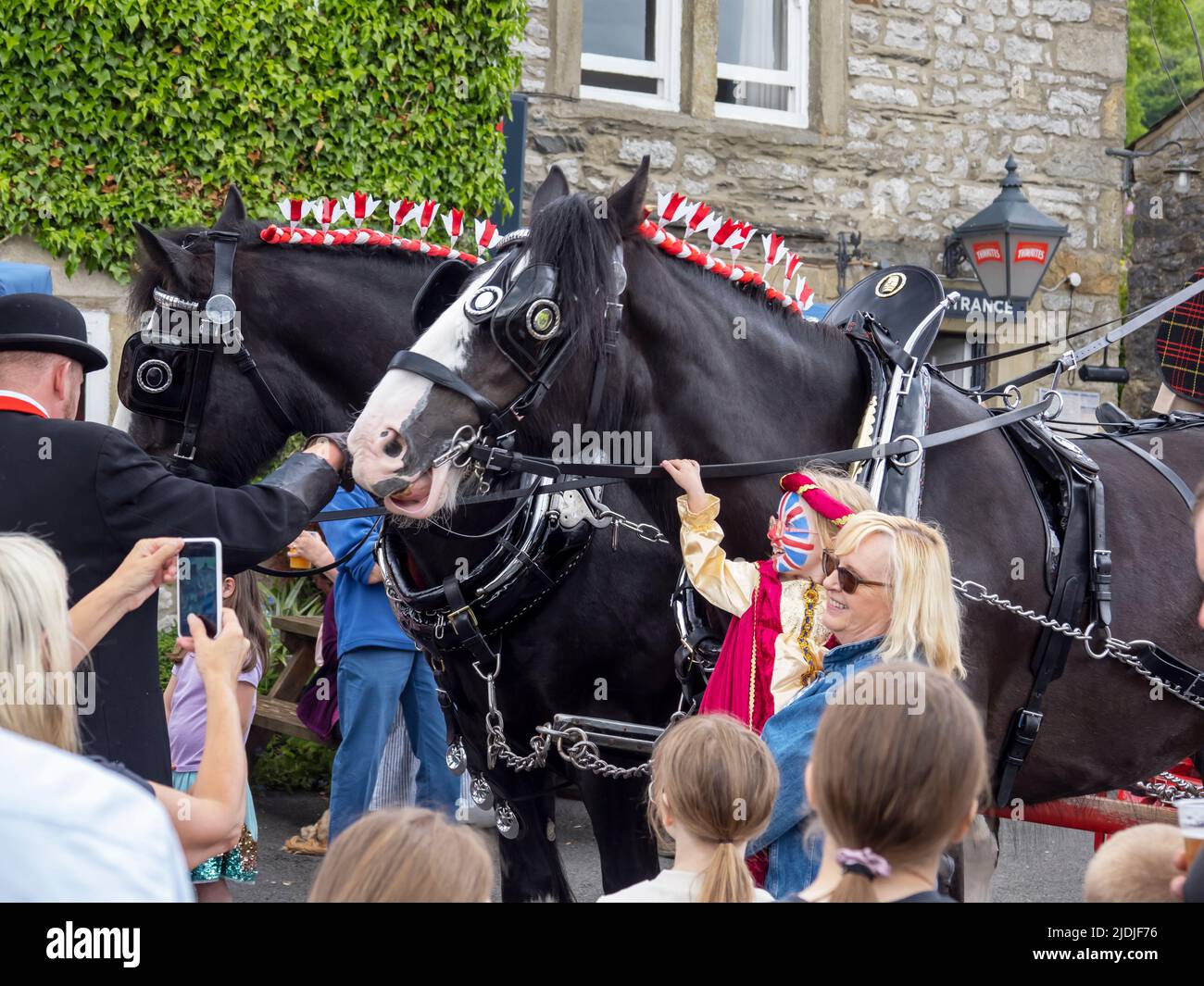 Shire horse painting hi-res stock photography and images - Alamy