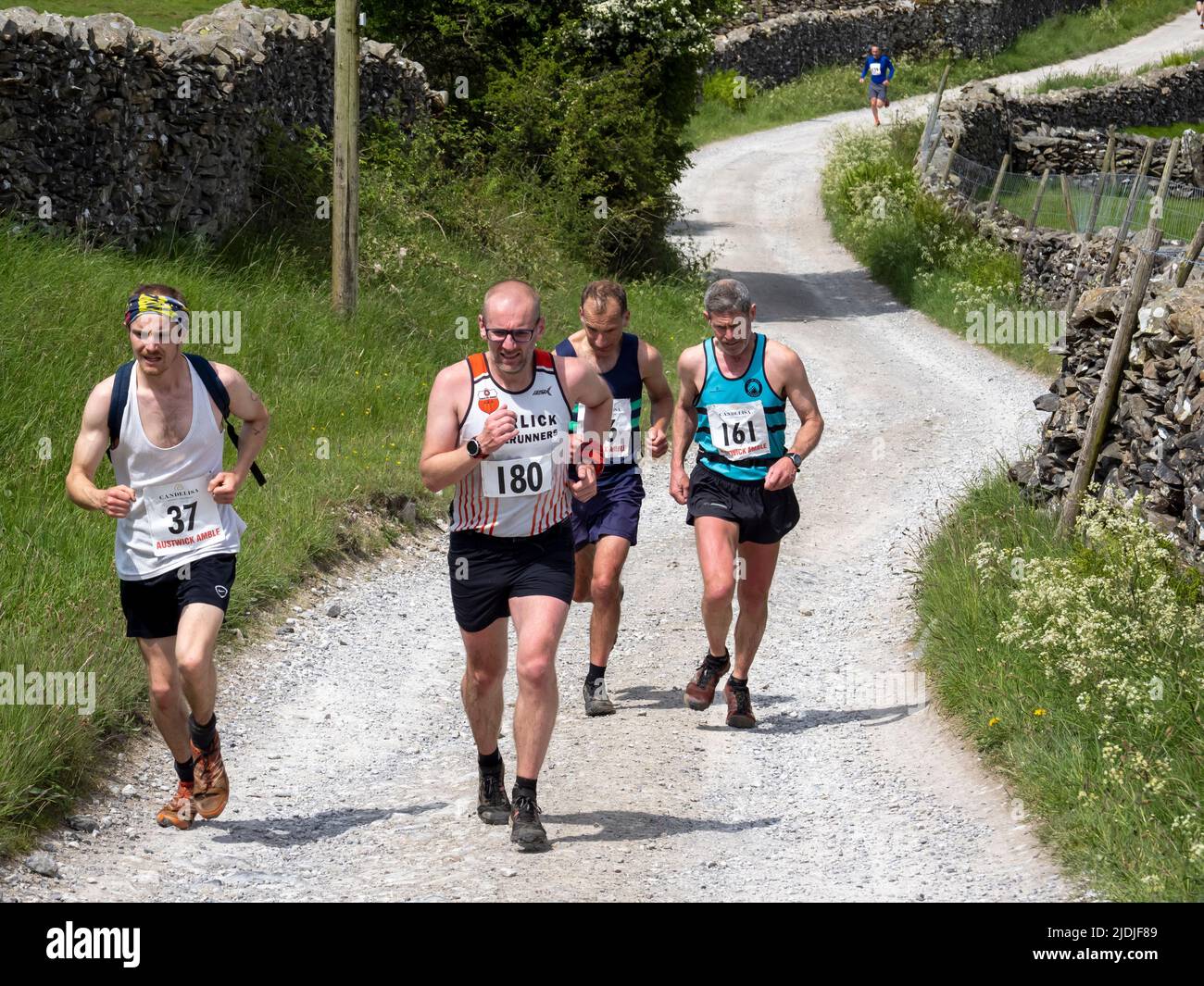 The adults fell race at the annual Austwick Cuckoo Festival, Yorkshire ...