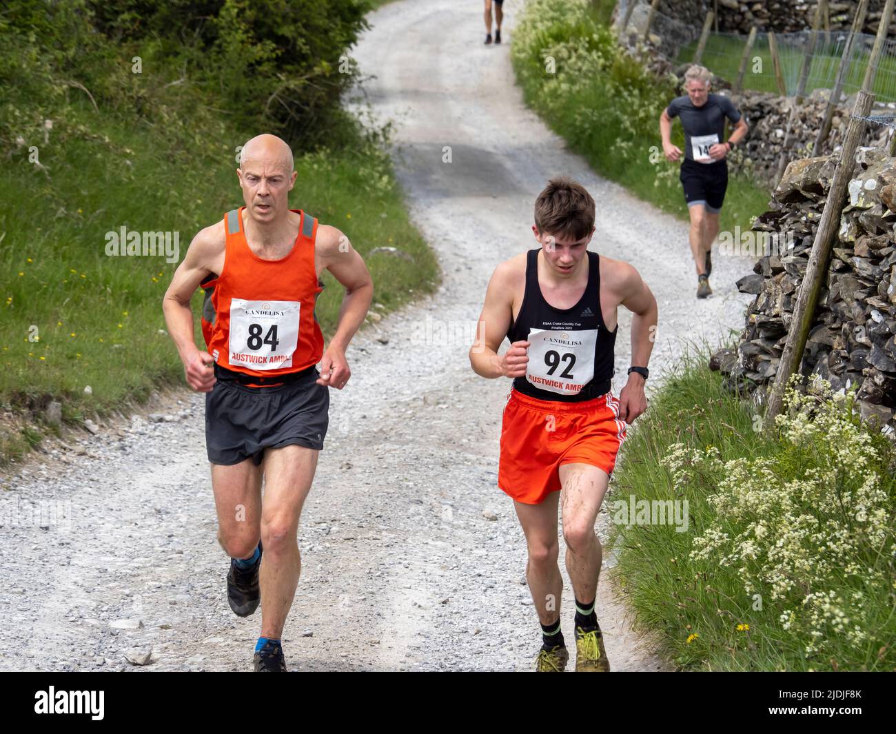 The adults fell race at the annual Austwick Cuckoo Festival, Yorkshire ...