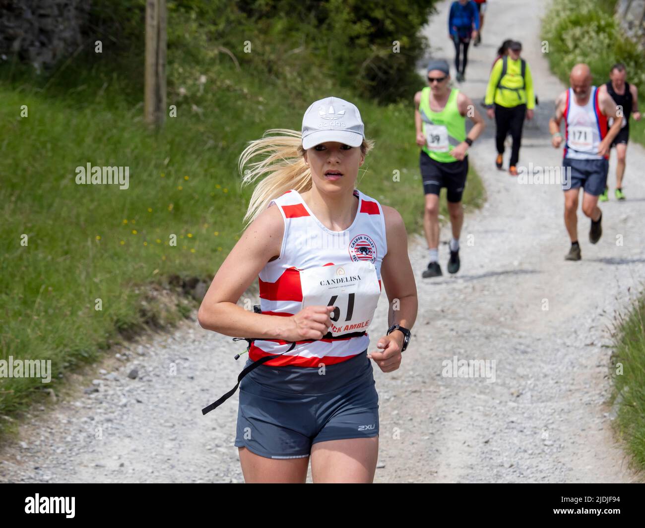 The adults fell race at the annual Austwick Cuckoo Festival, Yorkshire ...