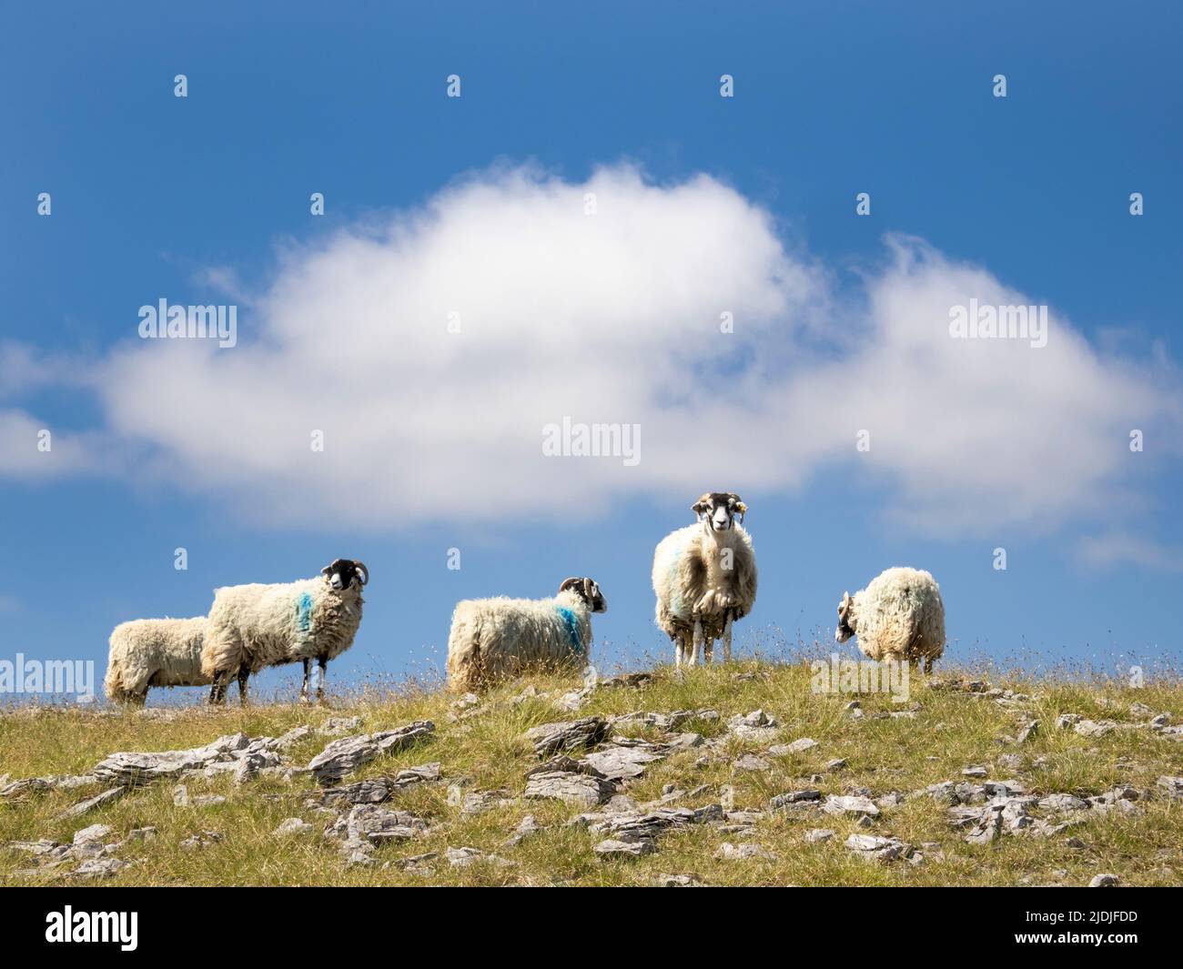 Moughton scar hi-res stock photography and images - Alamy