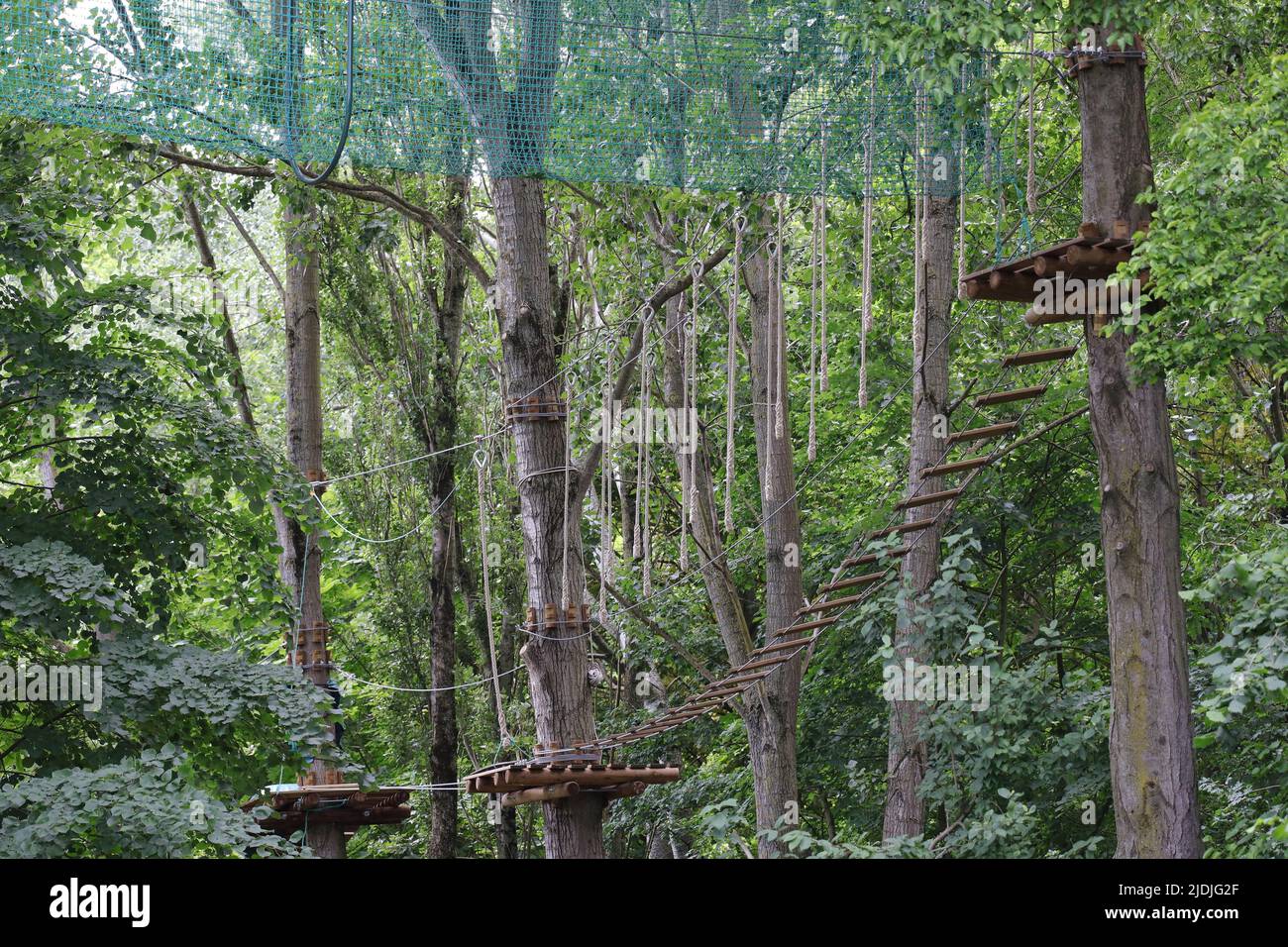 tree climbing course in summer sport activities Stock Photo - Alamy