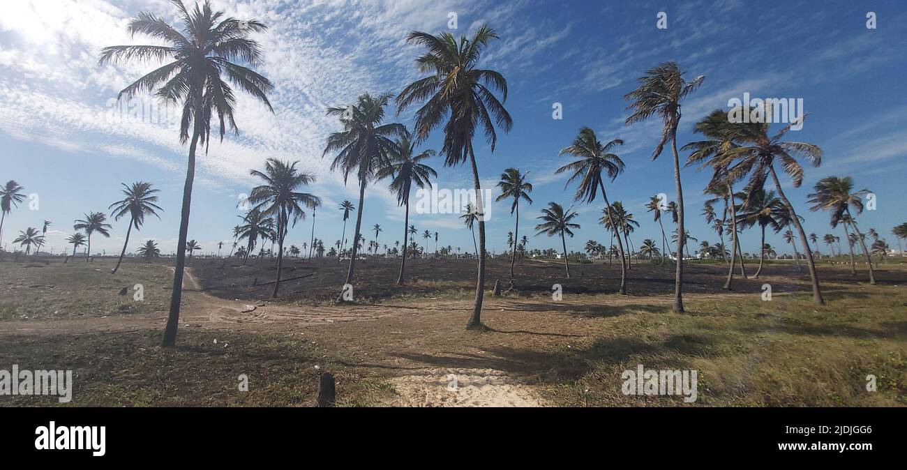 Costa beach, Barra dos Coqueiros, Sergipe, Brazil Stock Photo - Alamy