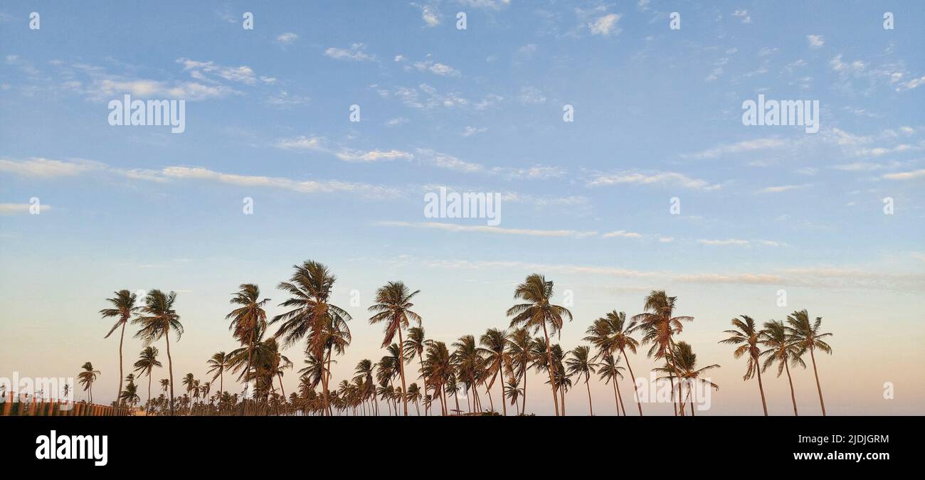 Costa beach, Barra dos Coqueiros, Sergipe, Brazil Stock Photo - Alamy