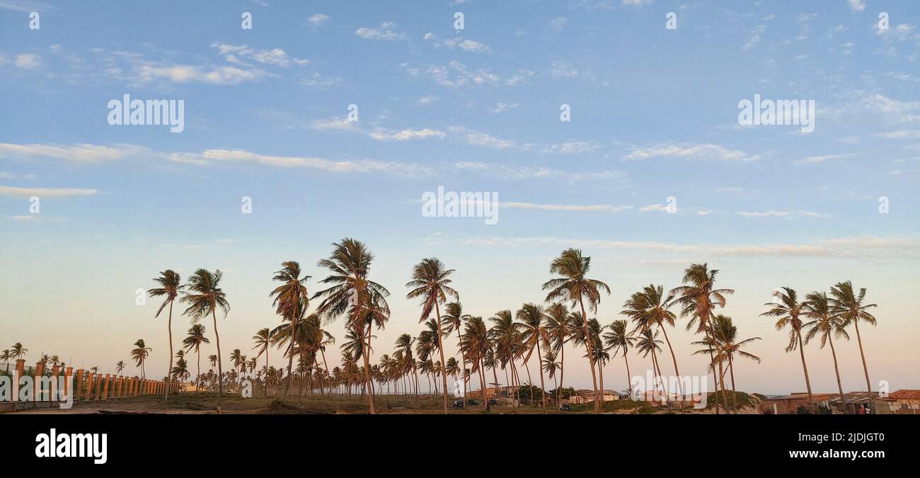 Costa beach, Barra dos Coqueiros, Sergipe, Brazil Stock Photo - Alamy