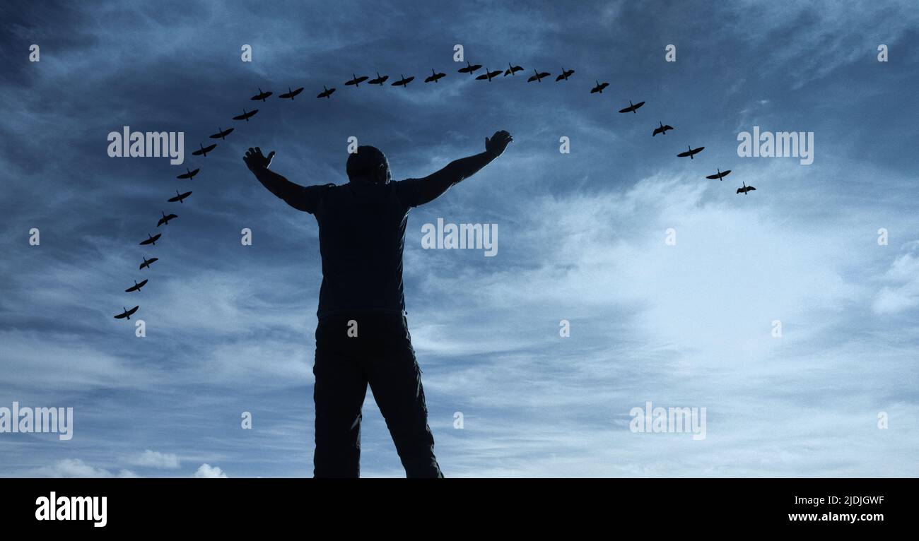 Rear view of man with arms outstretched with flock of birds flying ...