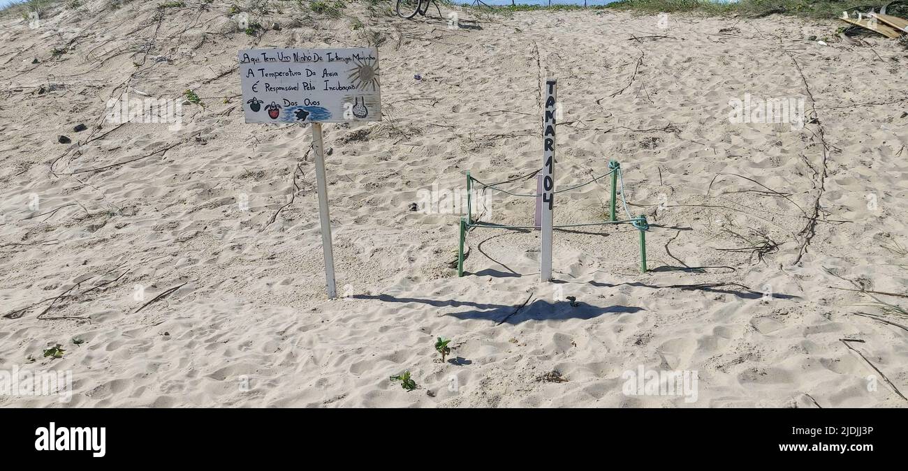 Beach, Pirambu, Sergipe, Brazil Stock Photo - Alamy