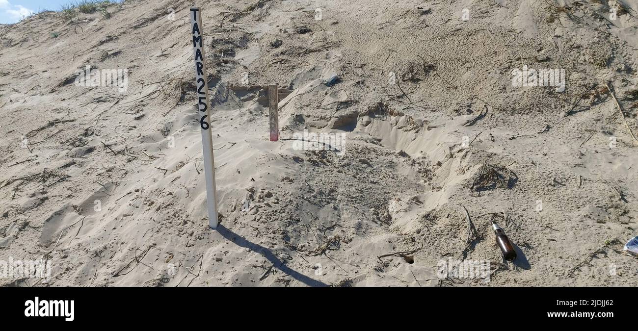 Beach, Pirambu, Sergipe, Brazil Stock Photo - Alamy