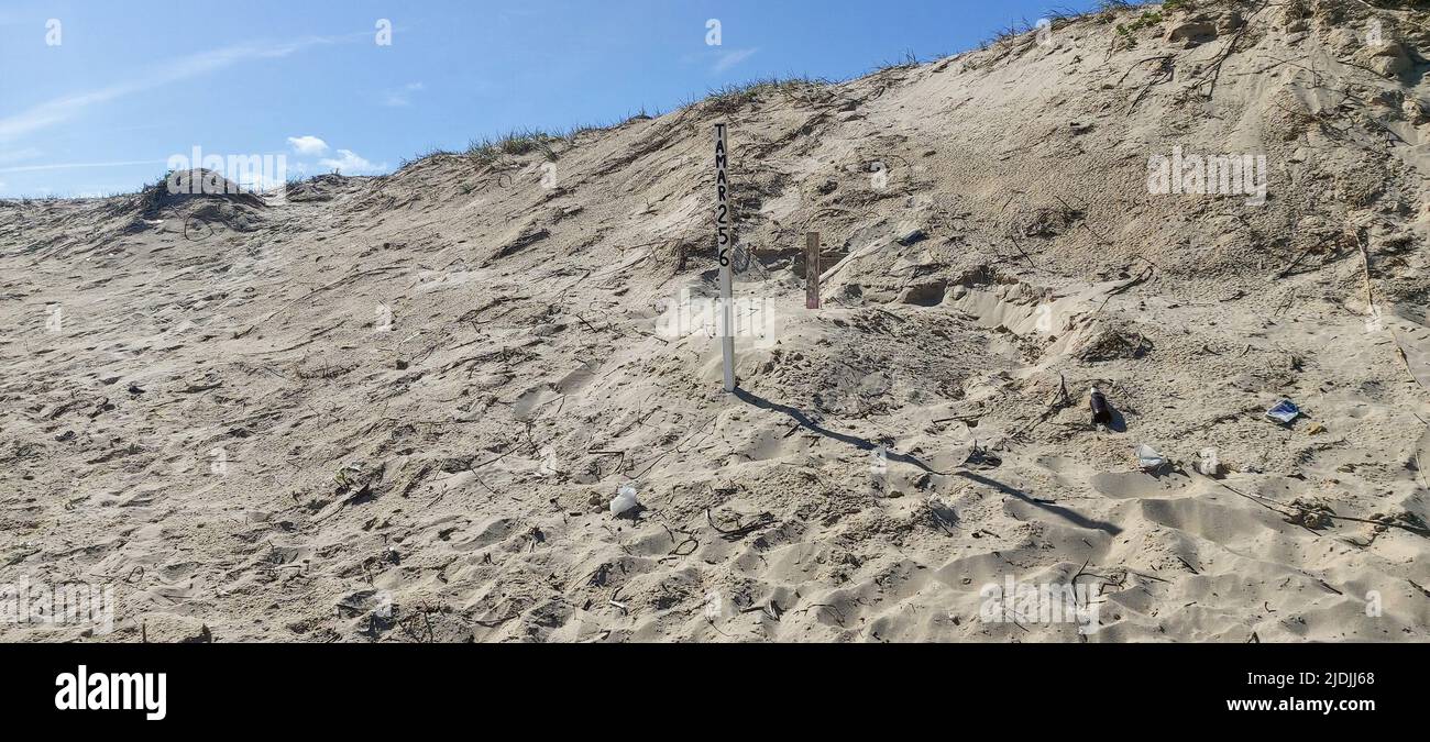 Beach, Pirambu, Sergipe, Brazil Stock Photo - Alamy
