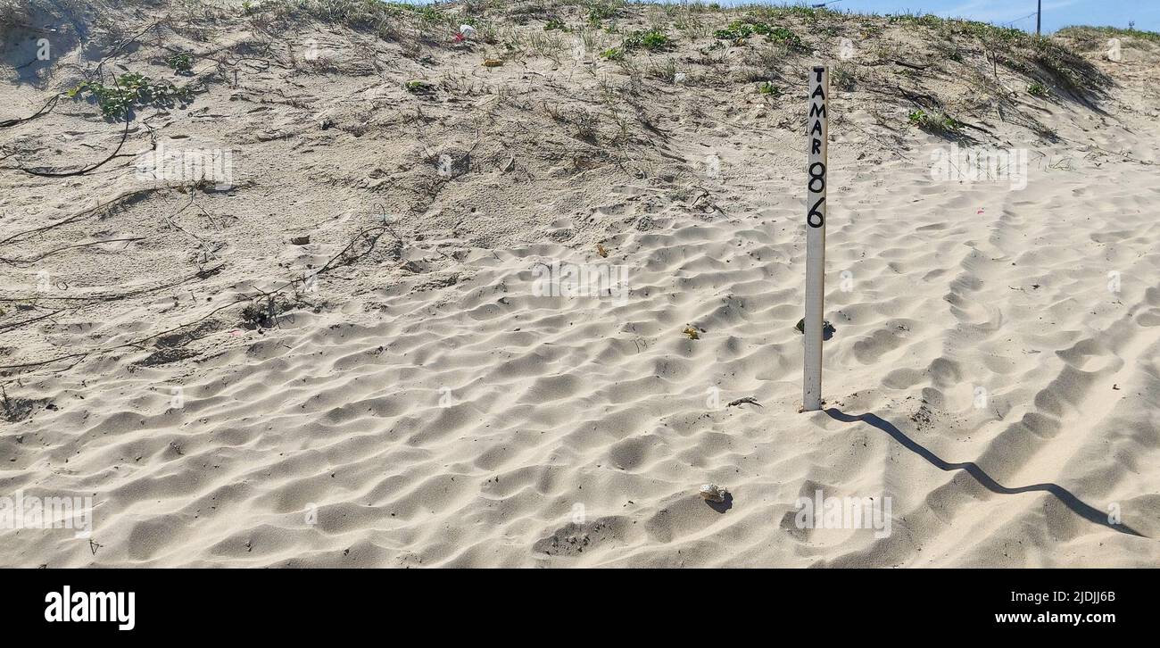 Beach, Pirambu, Sergipe, Brazil Stock Photo - Alamy