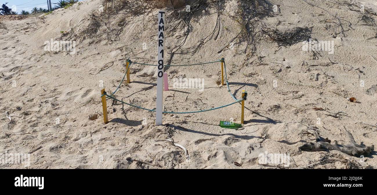 Beach, Pirambu, Sergipe, Brazil Stock Photo - Alamy