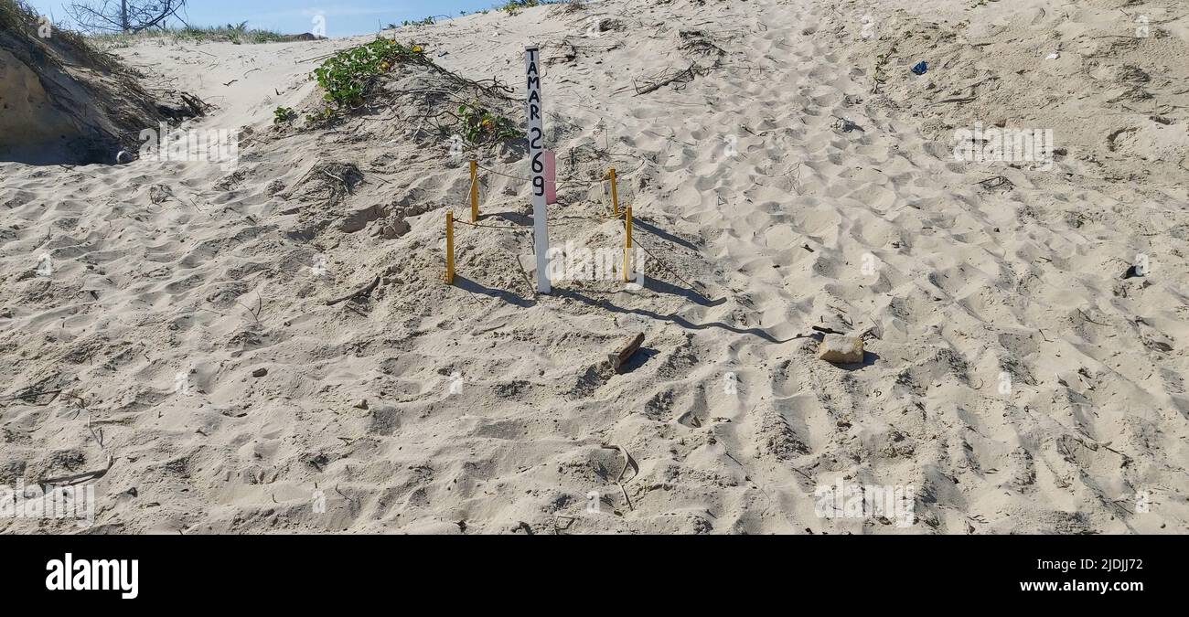 Beach, Pirambu, Sergipe, Brazil Stock Photo - Alamy