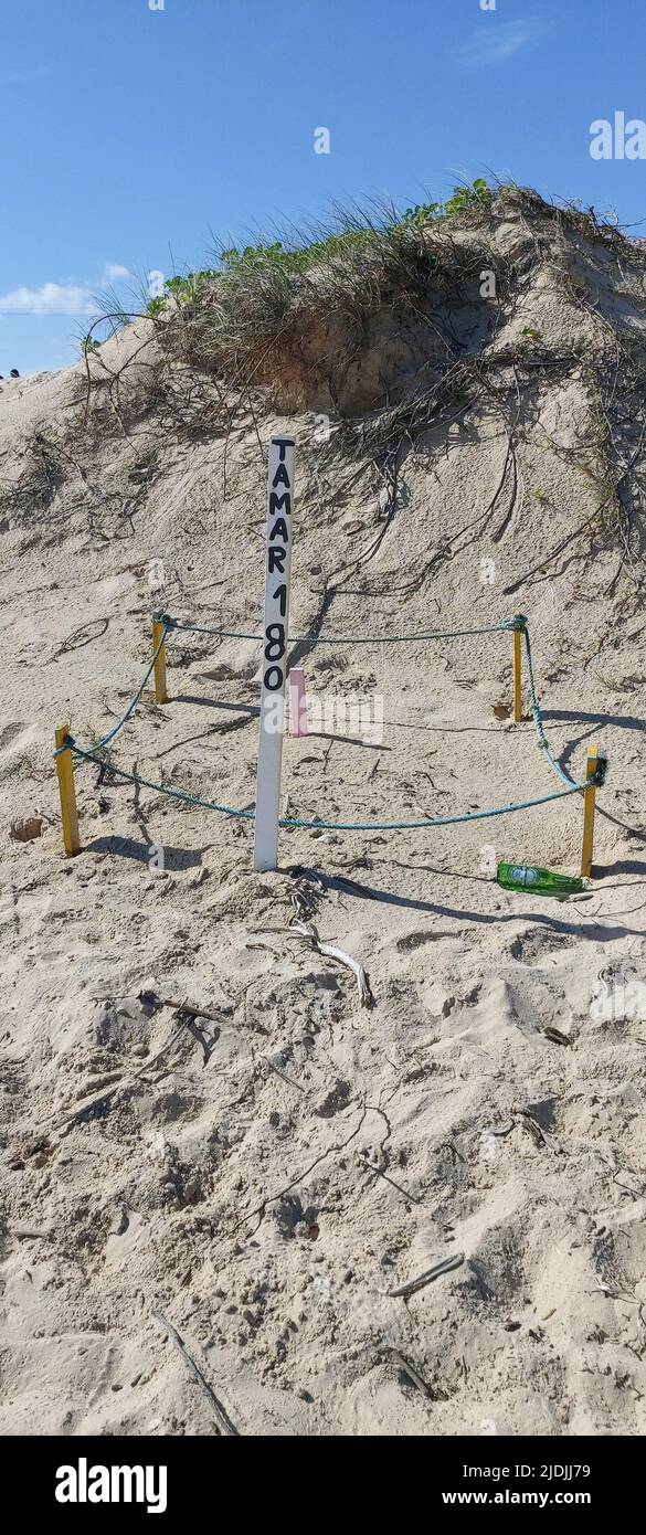 Beach, Pirambu, Sergipe, Brazil Stock Photo - Alamy