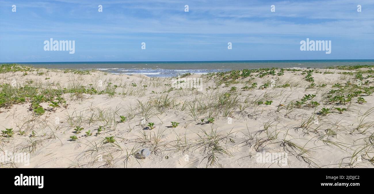 Beach, Pirambu, Sergipe, Brazil Stock Photo - Alamy