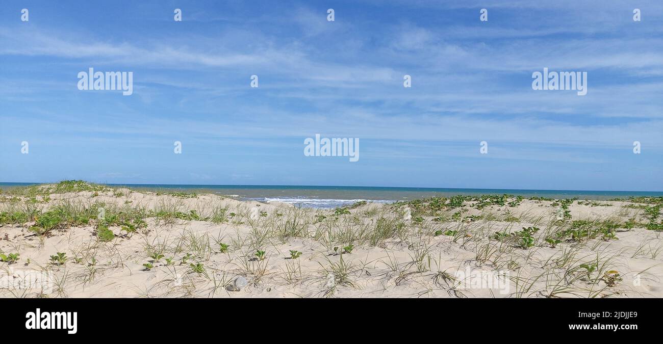 Beach, Pirambu, Sergipe, Brazil Stock Photo - Alamy