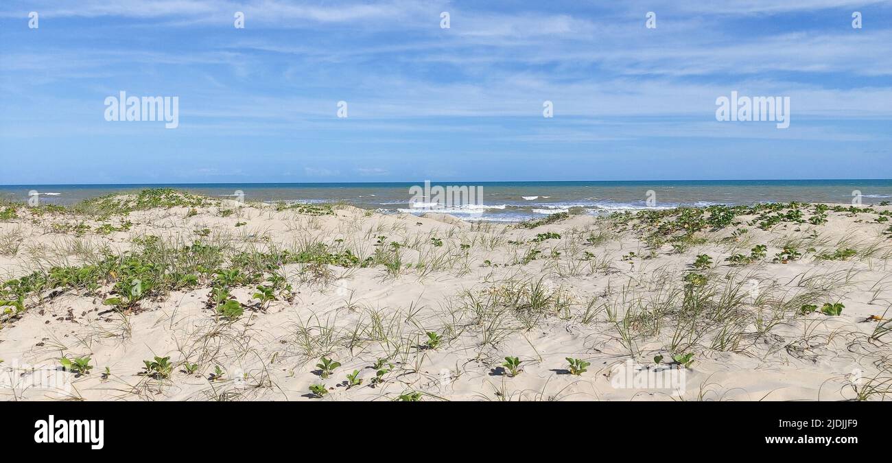 Pirambu hi-res stock photography and images - Alamy
