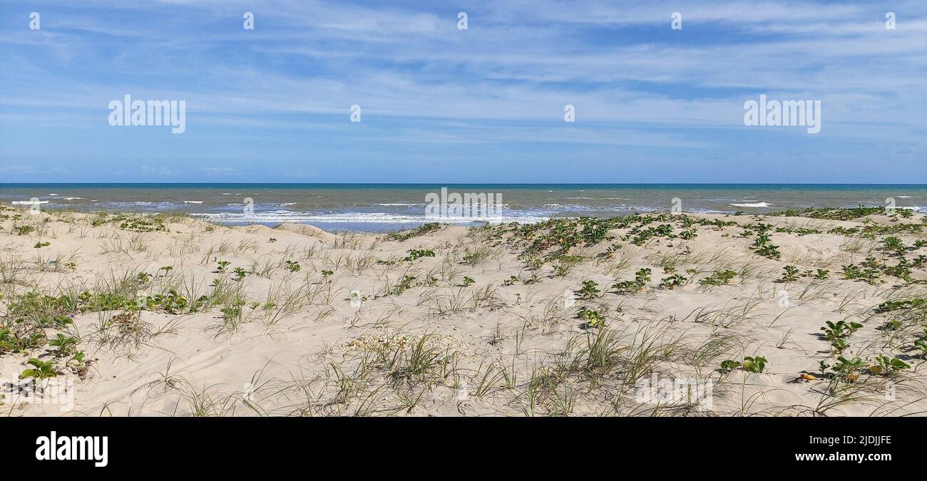 Pirambu hi-res stock photography and images - Alamy